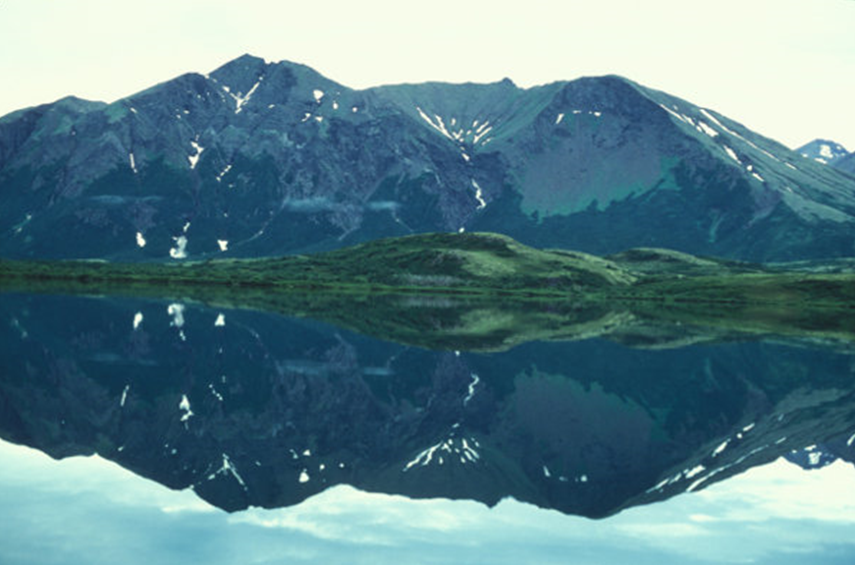 Episode 39 - The Use of Reflection